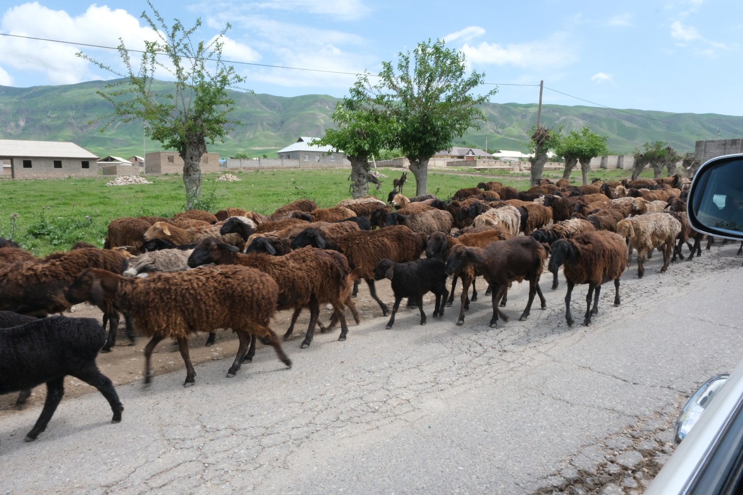 Notes on Tajikistan – Matt Lakeman