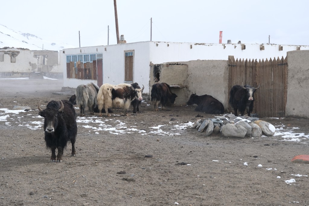 Notes on Tajikistan – Matt Lakeman